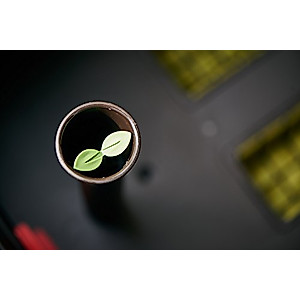 Keter Urban Bloomer 12.7 Gallon Raised Garden Bed with Self Watering Planter Box and Drainage Plug, Dark Grey