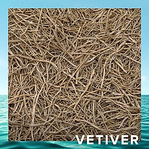 Cristiano Ronaldo - CR7 Origins Eau de Toilette, 3.4oz Spray for Men