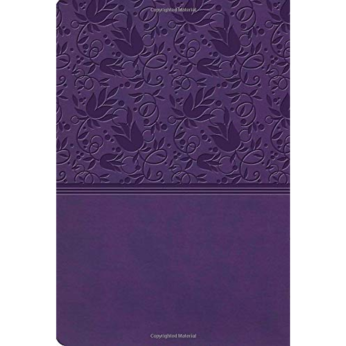 CSB Large Print Personal Size Reference Bible, Purple LeatherTouch, Red Letter, Presentation Page, Cross-References, Full-Color Maps, Easy-to-Read Bible Serif Type
