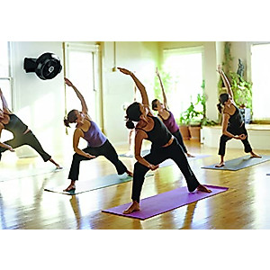 Lasko 3635 10-Inch Blades Air Flexor Floor or Wall Mount Fan, Black