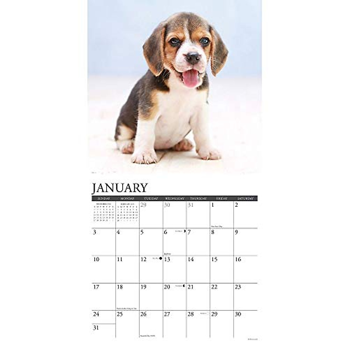 Just Beagle Puppies 2021 Wall Calendar (Dog Breed Calendar)