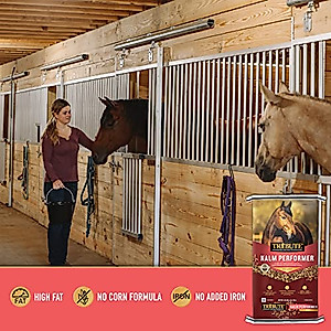 Kalmbach Feeds Tribute Kalm Performer for Horse, 50 lb