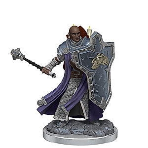 D&D Frameworks: Human Cleric Male - Unpainted and Unassembled