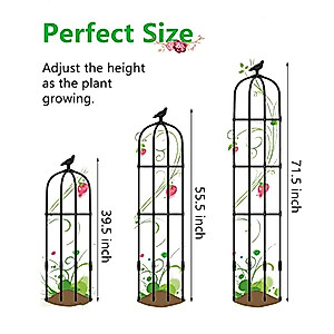 CKE NEW 2 Pack Garden Obelisk Trellis for Climbing Plants Outdoor, 6 FT Tall Rustproof Metal Plant Trellis Support Tower Obelisk Garden Trellis for Potted Climbing Flower Vegetable Vine Indoor Outdoor