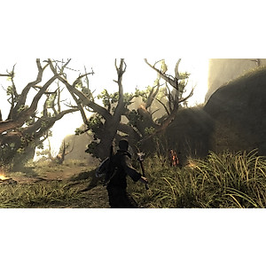 Risen - PlayStation 4