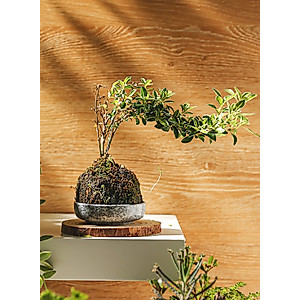 YJR Ceramic Japanese Side Dishes, Seasoning Dishes, Dipping Bowls - 3.5 Inch, with Metal Stand for Ketchup Soy Sauce BBQ Party, Set of 6, Blue