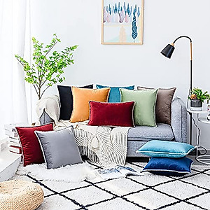 GAWAMAY Soft Velvet Farmhouse Spring Teal Pillow Covers 18x18 Set of 2,Decorative Green Throw Pillows with Chenille Thread Edge,Square Boho Couch Pillows for Living Room Sofa Couch Beding(45x45cm)