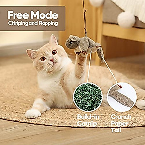 PETFUTURE Cat Toys for Indoor Cats, Rechargeable Interactive cat Toys with Catnip and Beating Wings, Chirping Cat Toys for Bored Cats, Flapping Mouse Kitten Toys for Cat Birthday Gift