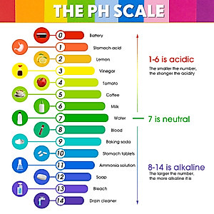 Handepo 50 Pack pH Test Strips 1-14 Universal pH Test Paper Full Range Litmus Test Paper Strips pH Test 4000 Strips for Teaching, Student, Chemistry Experiment, Saliva Urine Water Soil