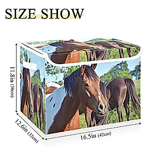 Kigai Storage Basket Funny Horse Storage Boxes with Lids and Handle, Large Storage Cube Bin Collapsible for Shelves Closet Bedroom Living Room, 16.5x12.6x11.8 In