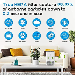ZHENGXOO Small Air purifier for Bedroom with True HEPA, Portable Air Cleaner Designed for Small Rooms uses 5V 1A Usb Power Interface Model：AM-120 (White)…