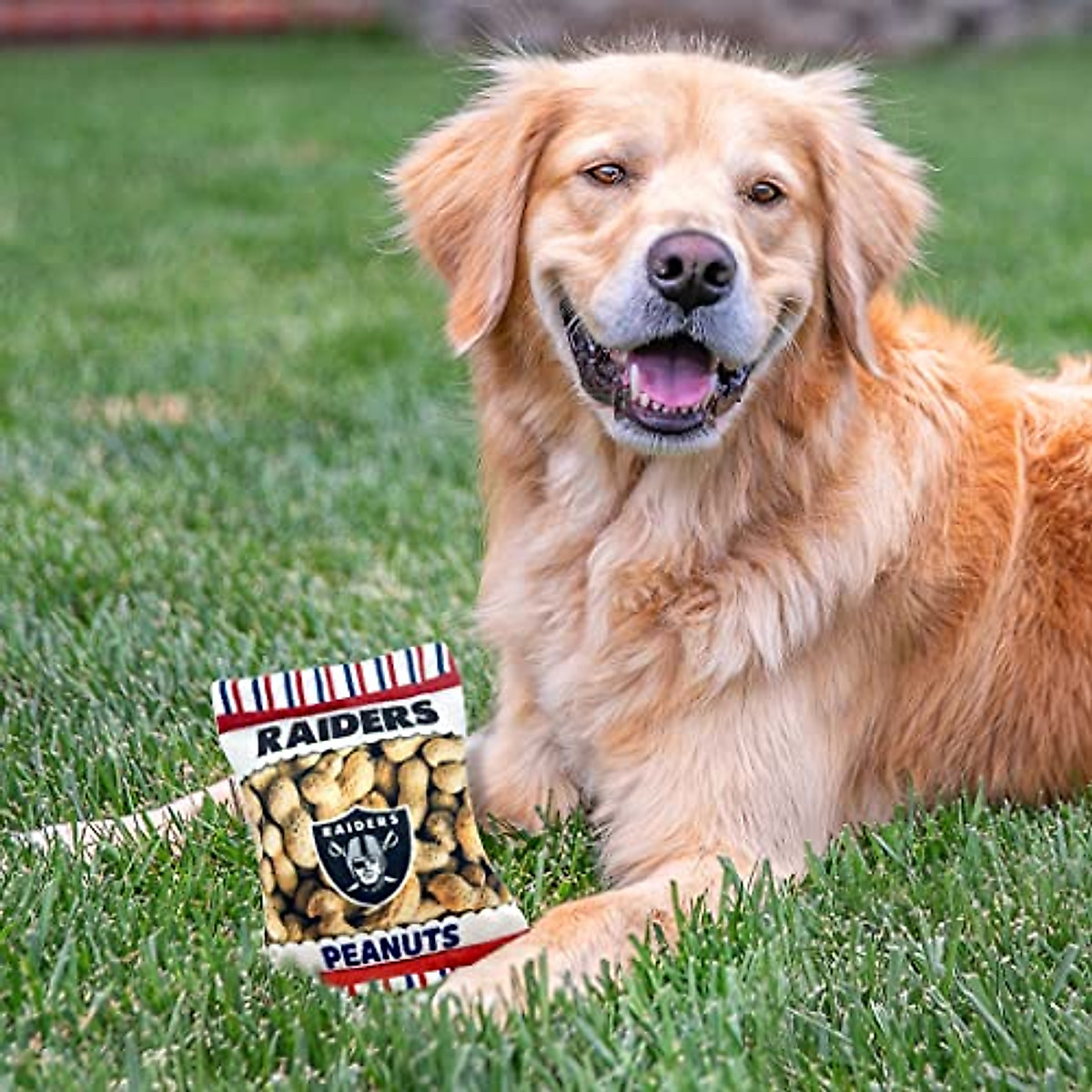 Pets First NFL LAS Vegas Raiders Crinkle FINE Plush Dog & CAT Squeak Toy - Cutest Stadium Peanuts Snack Plush Toy for Dogs & Cats with Inner Squeaker & Beautiful Baseball Team Name/Logo