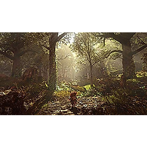 Ghost of a Tale : Collector's Edition - PS4 (PS4)