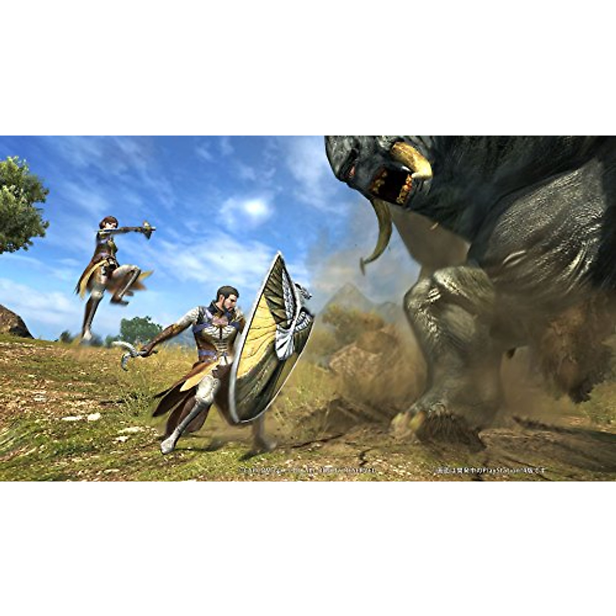 Dragons Dogma Online Limited Edition