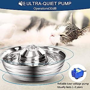 OPOLEMIN Stainless Steel Cat Water Fountain with 8 Replacement Filters, 67oz/2L Cat Water Dispenser Easy Assemble& Clean, Pet Water Fountain for Small Cats Dogs Inside (with Power Adapter)