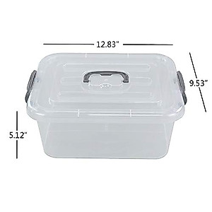 Zerdyne 2 Packs 8 L Clear Plastic Storage Boxes with Grey Handle