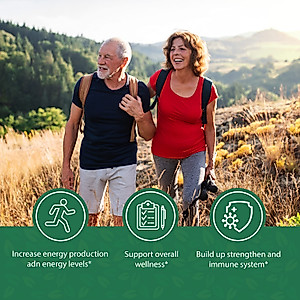 ZYY Pure Magnesium Glycinate Capsules 1000mg Maximum Strength, Chelated for High Absorption Magnesium Supplement for Sleep, Muscle, Brain, Bone and Heart Health, 3rd Party Tested, 180 Capsules