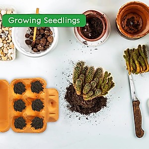 6 Count Egg Cartons for Chicken Eggs 20 Pack with Labels, Natural Pulp Paper Eggs Cartons Holds Bulk Blank Colorful Reusable Cardboard Pulp Egg Tray Half Dozen Egg Storing Cartons for Family Gifts