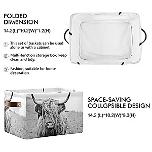 Kigai Highland Cow Storage Baskets Rectangle Foldable Canvas Fabric Organizer Storage Boxes with Handles for Home Office Decorative Closet Shelves Clothes Storage