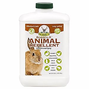 Bobbex Concentrated Animal Repellent Rabbit, Squirrel, and Chipmunk Repeller Concentrate (32 oz.) B550120