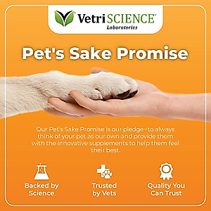 VetriScience Glycoflex Plus Clinically Proven Hip & Joint Supplement for Dogs, 60 Chews & Glycoflex Plus Clinically Proven Dog Hip and Joint Supplement for Small Dogs, 60 Chews