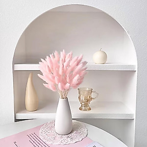 60PCS Rabbit Tail Grass Dried Flowers Dried Natural Floral Arrangement Bunch Decoration Dried Grass,Eternal Flower Dried Grass for Home,Wedding,Party,Flower Bouquet,Photo Props Decor (Light Pink)