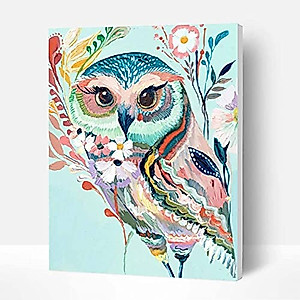 DIY Paint by Numbers for Kids & Adults & Beginne,DIY Canvas Painting Gift Kits for Home Decoration,Rainbow Owl Home Wall Decor 16x20''(Without Framed)