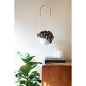 Umbra Bolo Hanging Planter