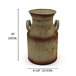CVHOMEDECO. Farmhouse Galvanized Metal Milk Can, Old Rustic Primitives Jug Vase for Home and Garden Décor. Grey
