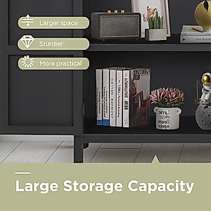 Sophia & William 2-Door Accent Cabinet, Distressed Storage Cabinet with 2 Carved Doors and Wooden Frame for Entryway, Living Room, Black