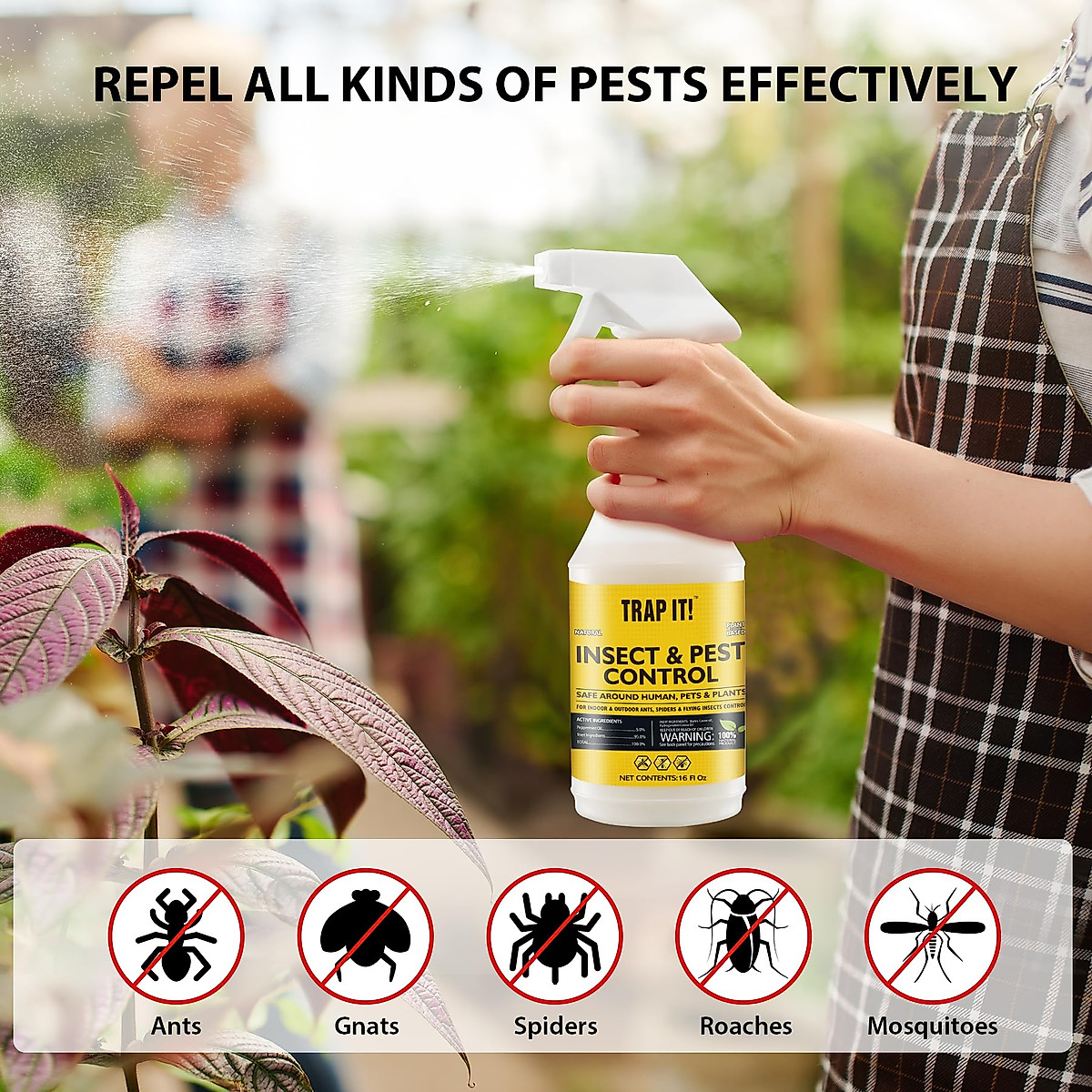 TRAP IT! Insect Repellent Peppermint Oil Spray for Bugs, 16OZ Natural Pest Control Spray for Home Kitchen Ant Spider Roach Fly Killer, DEET-Free Pet Family Safe Bug Spray Indoor Outdoor Patio Yard