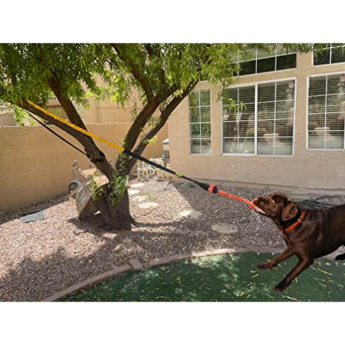 Dog Bungee Toy 20.35 ft Reinforced Interactive Toy with Two Replacement Rope Toys - Dog Rope Toys Interactive Toys