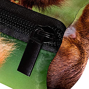 Squirrel Eat Nut in Wild Nature Pattern Pencil Bag Pen Case Stationary Case Pencil Pouch Desk Organizer Makeup Cosmetic Bag for School Office