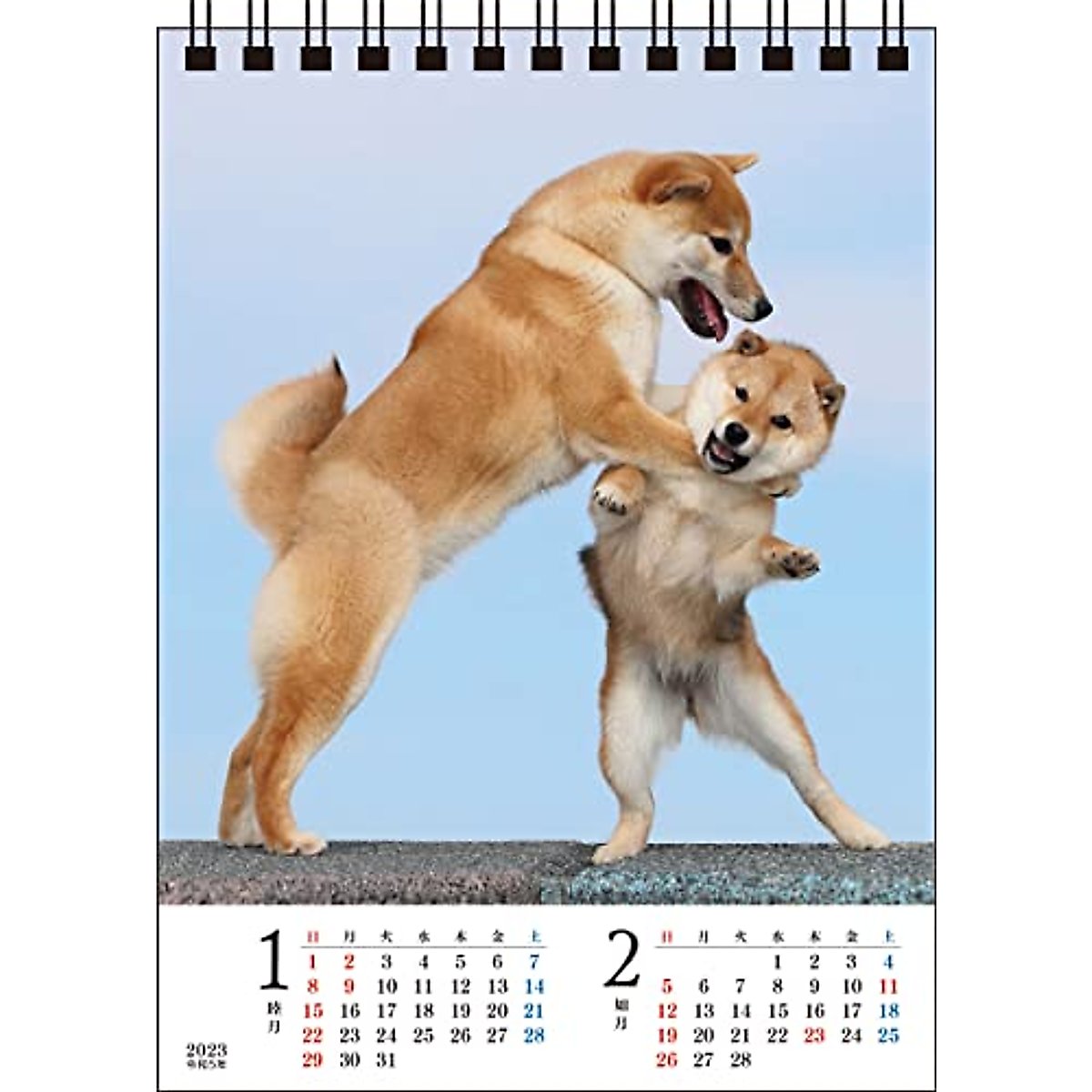 2023 柴犬カレンダー 卓上書き込み式 [B6タテ] 【S3】 (永岡書店のカレンダー)