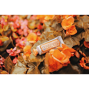 Marvis Ginger Mint Toothpaste, 3.86 oz