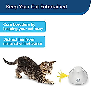 PetSafe Peek-A-Bird Electronic Cat Toy, Automatic Interactive Bird and Mouse Hunt, Indoor Cat Toy, Motion Activated Fun for Kittens