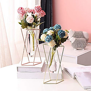 Aoderun Glass Flower Vase with Metal Stand Modern Geometry Desktop Glass Planter Indoor Hydroponics Plants for Home Office Garden Wedding Decor (Gold, M)