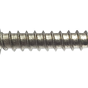 #14 x 1-1/4" Pan Head Sheet Metal Screws, Full Thread, Phillips Drive, Stainless Steel 18-8, Bright Finish, Self-Tapping, Quantity 50 Pieces by Fastenere