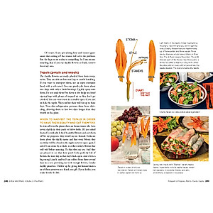 Edible Wild Plants, Volume 2: Wild Foods from Foraging to Feasting (Wild Food Adventure)