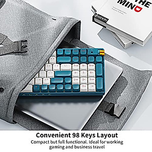 ROYALAXE R100 Wireless Mechanical Keyboard, Upgraded TTC Gold Pink Switches, Hot Swappable Wired/Bluetooth 5.0/2.4G Wireless Keyboard with RGB Light for Windows & Mac, PBT Keycaps, Whale Blue