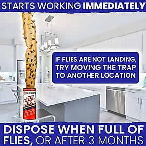 10 Fly Strips Indoor Sticky Hanging with Pins. Fly Trap Fly Paper Strips Indoor Hanging Fly Tape for Indoors and Outdoor. Fly Catcher Fly Ribbon Sticky Fly Traps for Indoors Flypaper. Fruit Gnat Traps