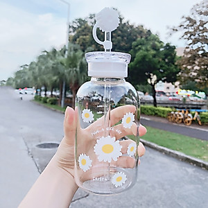 JZSMY 480ml Milk Juice Cute Water Bottle with Scale 2 Lids Little daisy Matte Portable Transparent Water Cup Glass Bottles Creative Handy Cup with Straw and Straw Plug (Transparent 6 flowers)