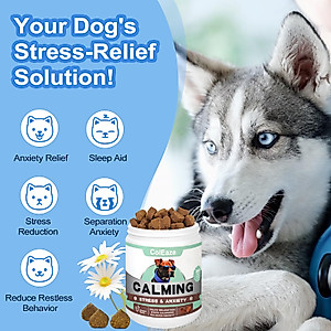 ColEaze Dog Calming Chews, 200 Count Dog Calming Treats, Anxiety Relief for Dogs, Sleep Calming Aid, Health & Wellness Supplements for Dog Separation Barking, Chicken Liver Flavor