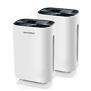 BATEERUN True HEPA Filter Air Purifiers, Quiet Air Cleaner. True HEPA Air Purifiers Filter for Bedroom, Large Room 2 PACK
