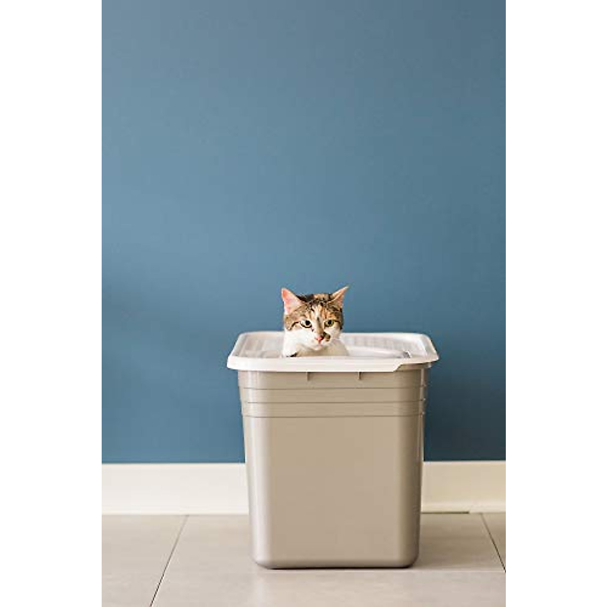 Petmate Top Entry Litter Cat Litter Box With Filter Lid To Clean Paws