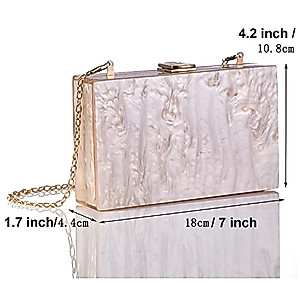 Women Acrylic Clutch Bag for Evening Party Crossbody Shoulder Bag for Special Event with Modern Classic Style Bag (Champagne)