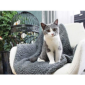furrybaby Premium Fluffy Fleece Dog Blanket, Soft and Warm Pet Throw for Dogs & Cats (Small (24 * 32"), Grey Blanket)