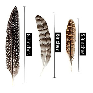 Natural Turkey Spotted Feathers, 30Pcs Pheasant Feathers Mardi Gras Feathers for Crafts DIY Hat Floral Arrangements Wing Quill Wedding Home Party Decorations 6-8 inch(3 Styles)