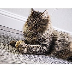 SmartyKat Catnip Kiss Compressed Catnip Ball Toy - Natural, One Size