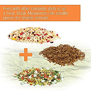Zilla Reptile Food Munchies Mealworms for Pet Bearded Dragons, Leopard Geckos, Chameleons, Large Tropical Fish & Birds, 3.75-Ounce